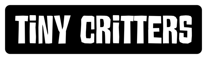 Black Soldier Fly – Tiny Critters